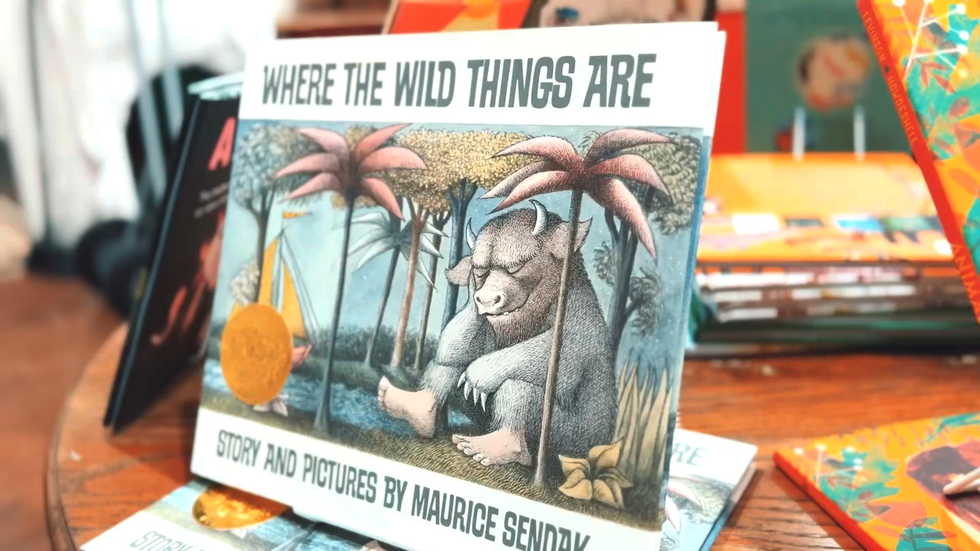 The Storybook Market – Where Adventure Begins